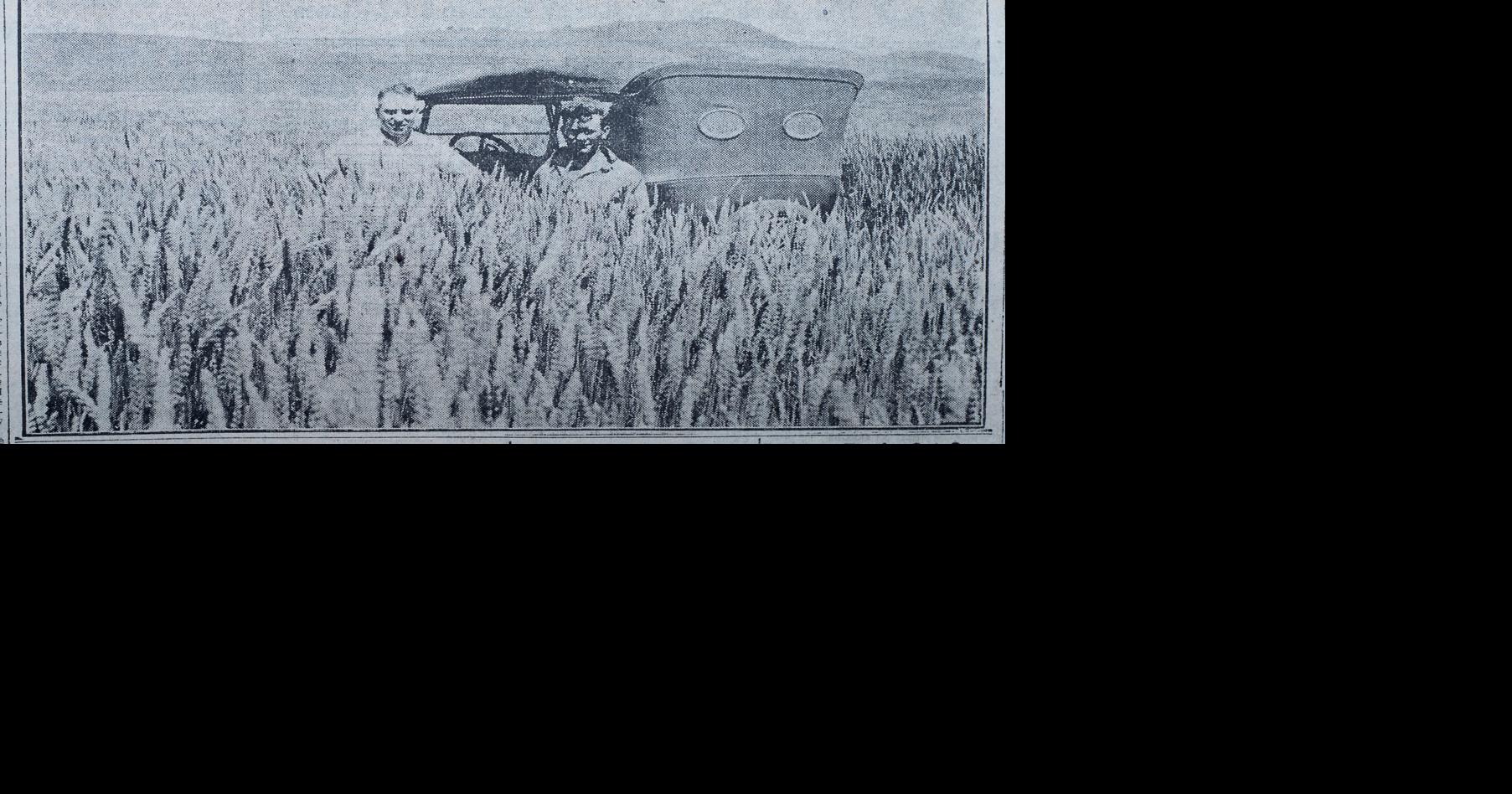 Old News | Six buildings lost in Waterville fire, Lincoln School ...