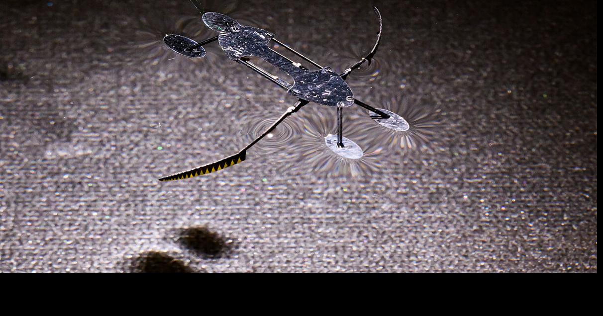 WSU mini-robots mimic insects to get stronger, faster: 'They can do ...