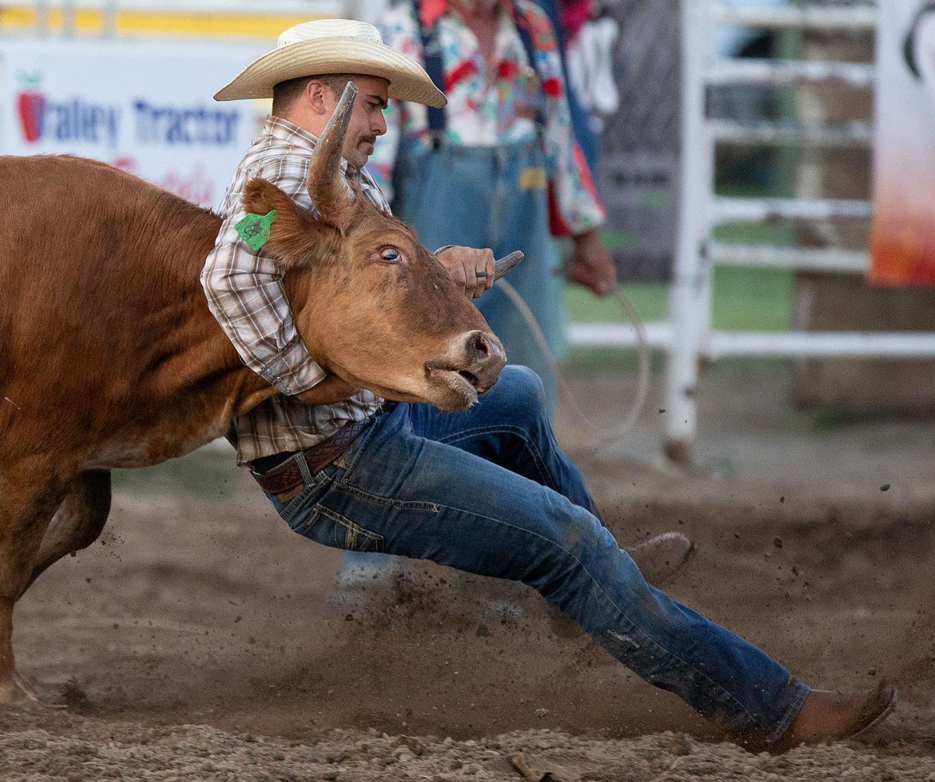 GO! | wenatcheeworld.com