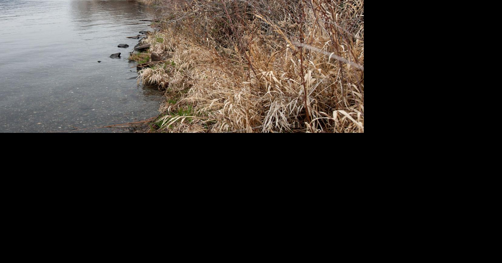 A tangled, twisting trail | Local News | wenatcheeworld.com