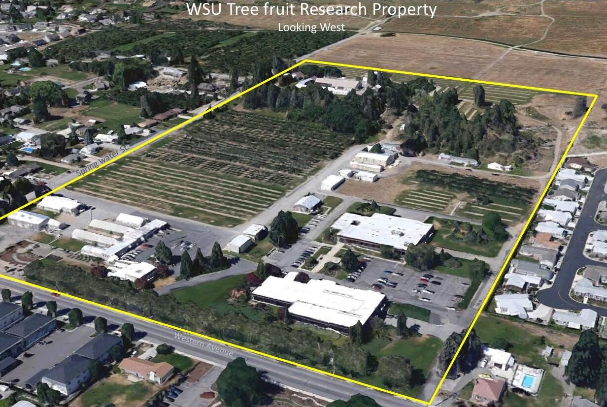 Chelan County PUD considers WSU Tree Fruit Research & Extension Center ...