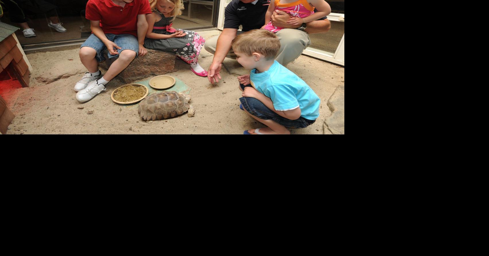 Grandparents today | Family & Faith | wenatcheeworld.com