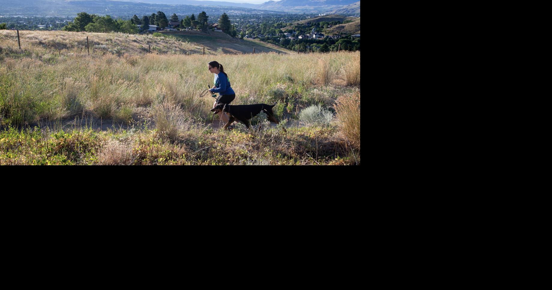 Wenatchee Foothills trails open for outdoor recreation | Outdoors ...