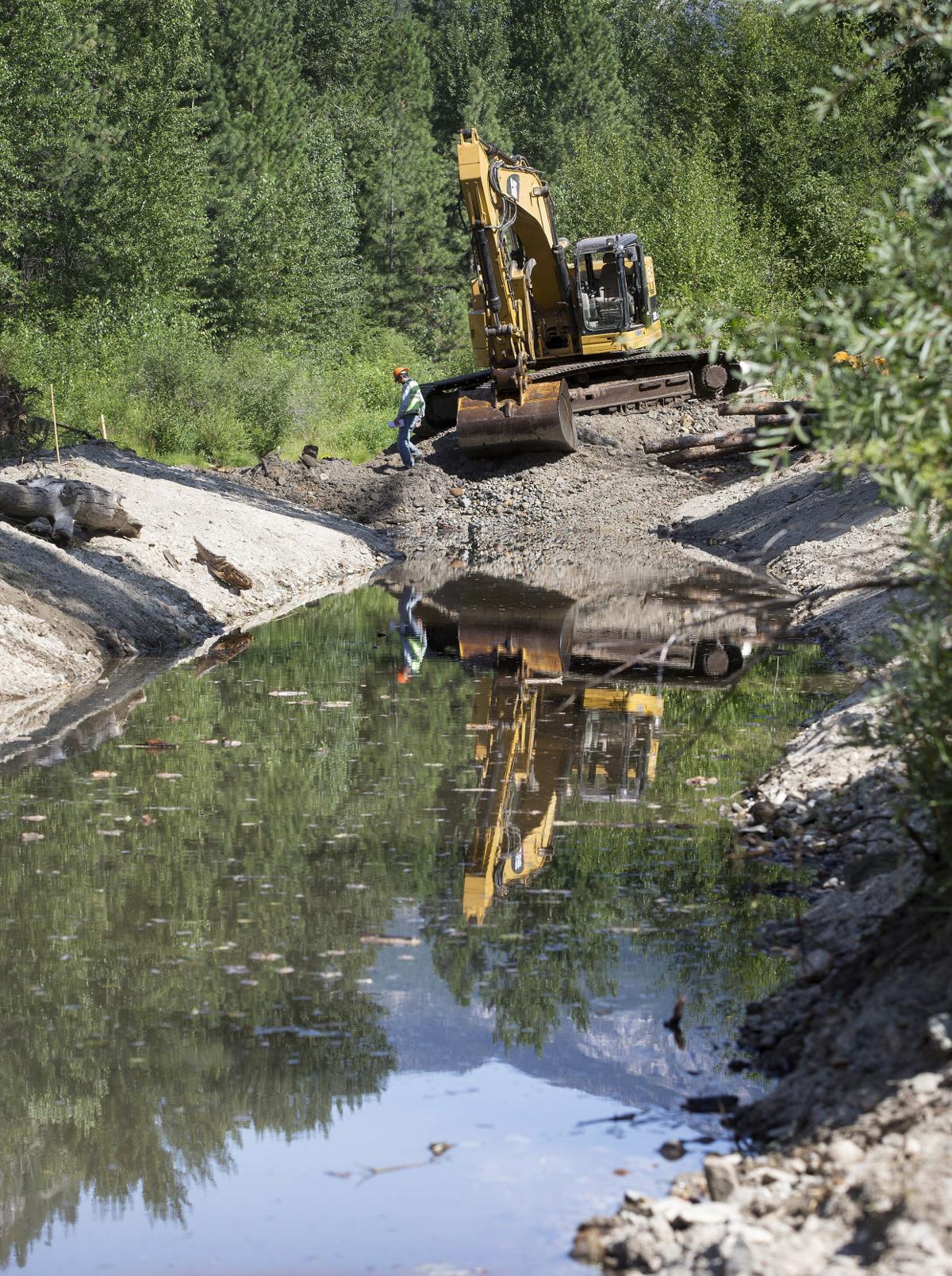 Restoring the Entiat River | News | wenatcheeworld.com
