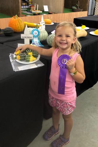 It's time to get exhibits ready for showing at the Chelan County Fair ...