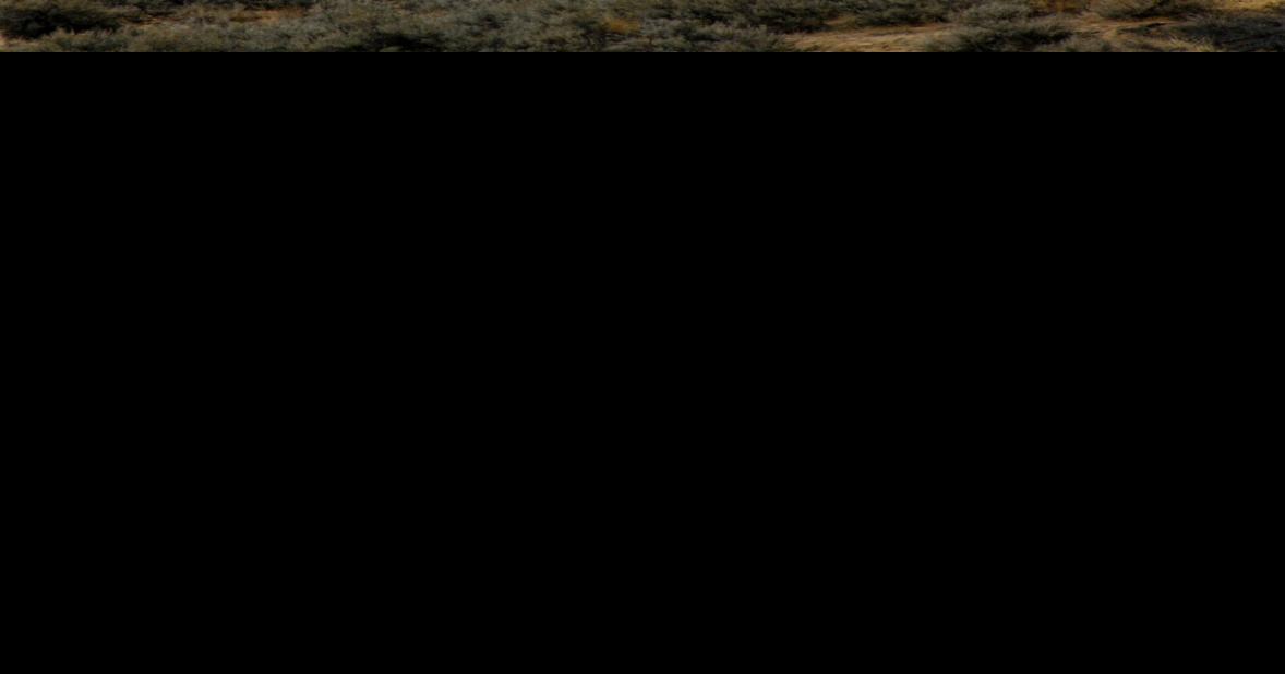 Get Out! Reflector art lights up hillside | News | wenatcheeworld.com