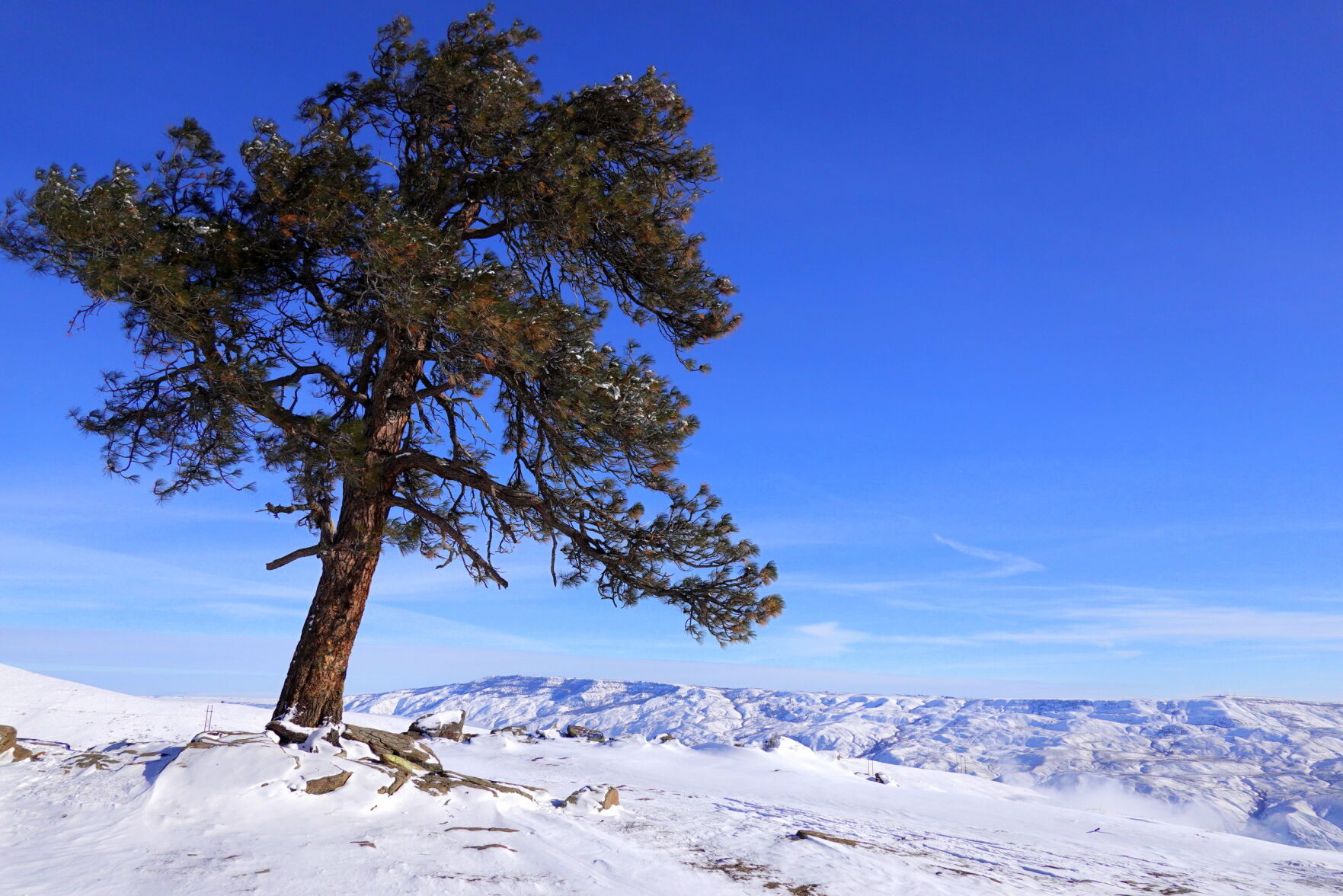 Forty for Forty: Burch Mountain in winter | Outdoors | wenatcheeworld.com