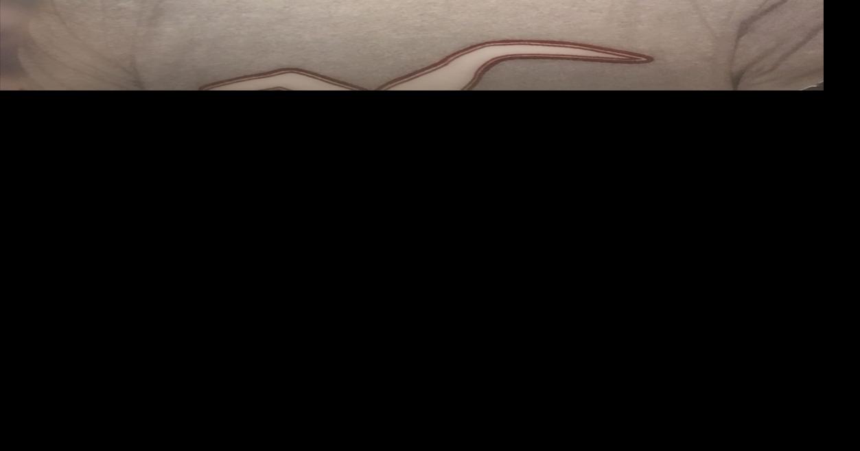 Family remembers Alex Pulido | Local News | wenatcheeworld.com