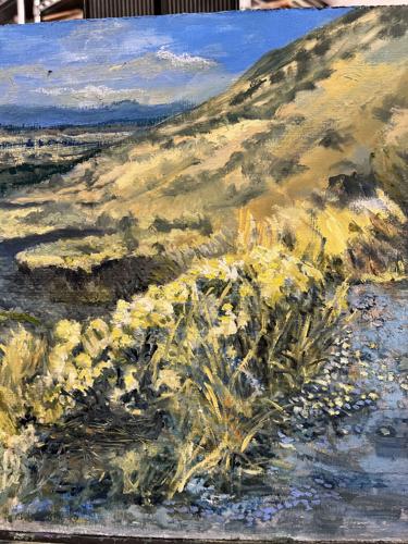 Teacher exhibits hillsides as 'through a blurred lens' at Pybus Art ...
