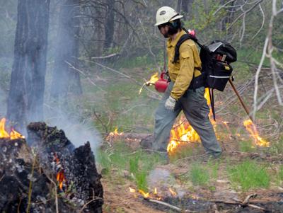 On Washington’s public lands, a rise in fires caused by people ...