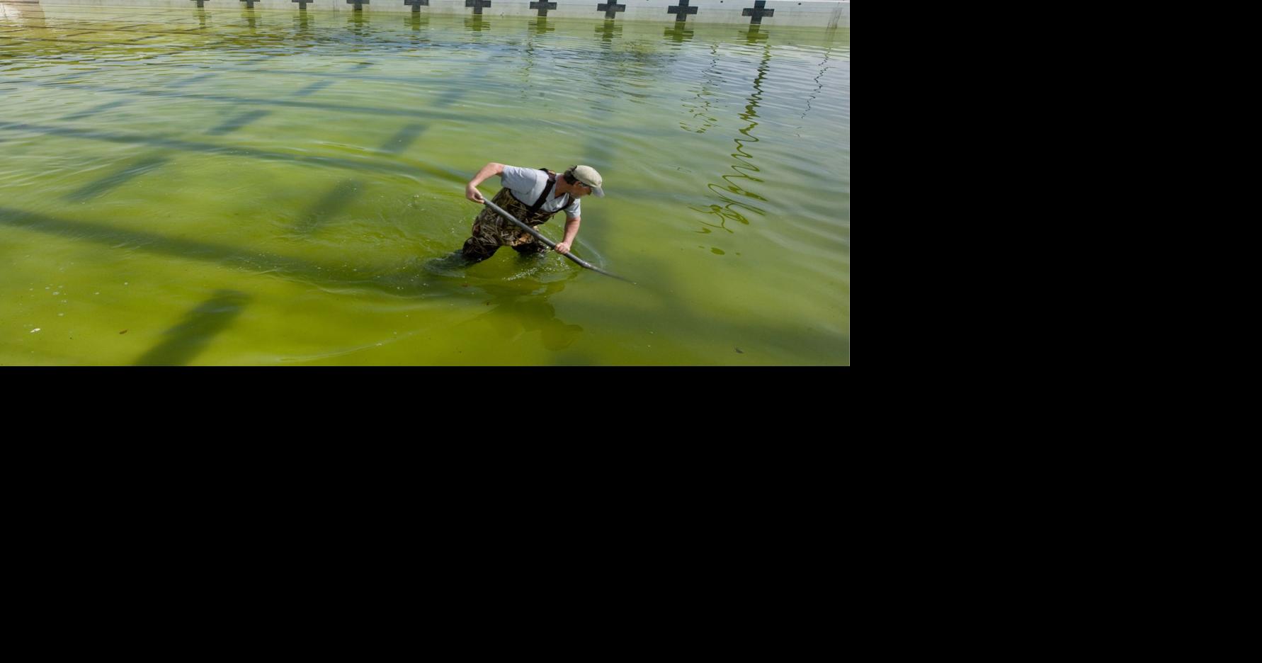Wenatchee City Pool opens June 19 | Local News | wenatcheeworld.com