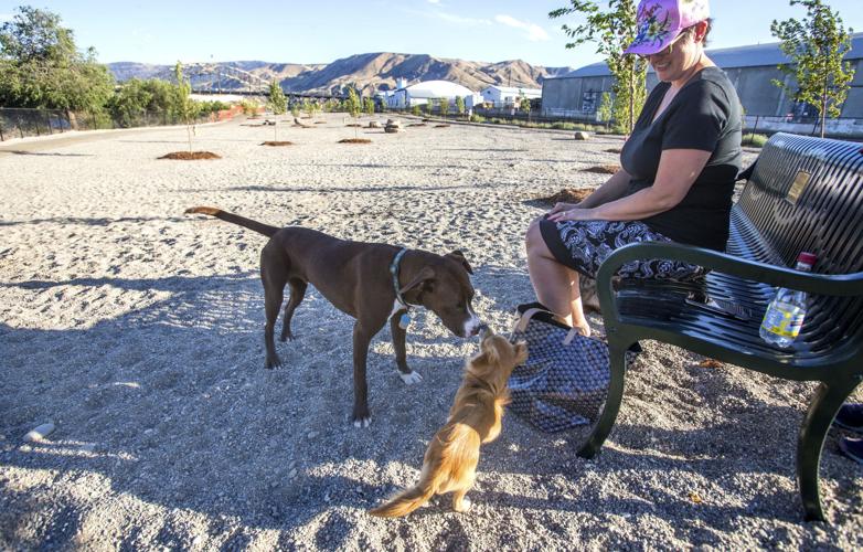 Photo Gallery: Dog park opens in Wenatchee | Local News ...