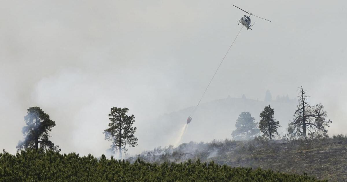 A fast air attack is vital to fight wildfires; those aircraft are even more important this year ...