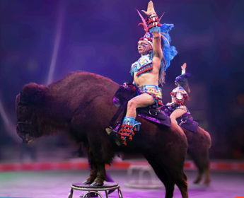 Opinion | Kris Cameron, Cindy Volyn, and Anna Gullickson: Town Toyota ...