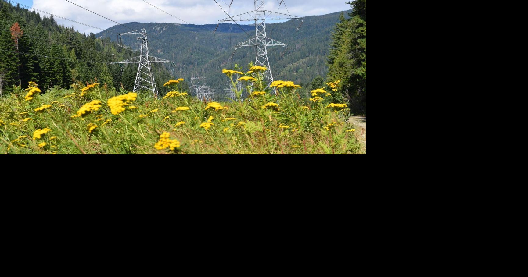 Chelan County PUD performs annual transmission line inspection via helicopter | News ...