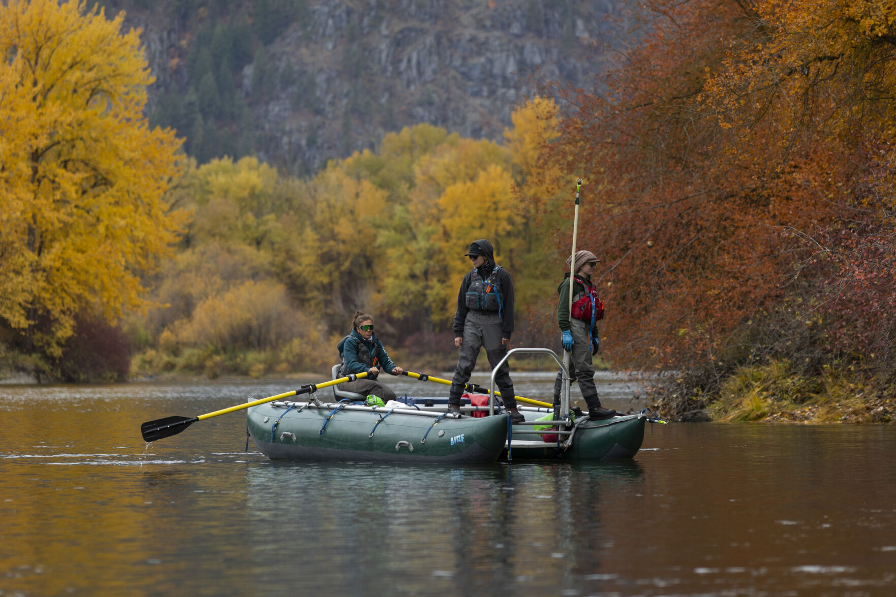 Chelan County PUD Fish & Wildlife to count salmon, trout redds next ...
