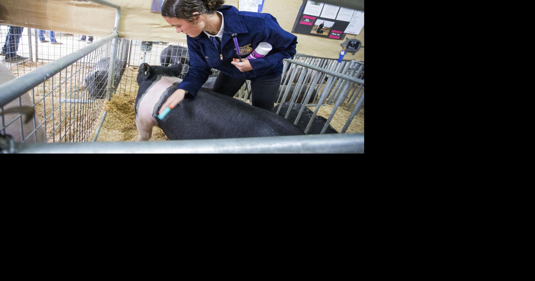 Photo Gallery: North Central Washington Fair, Day 3 | | wenatcheeworld.com
