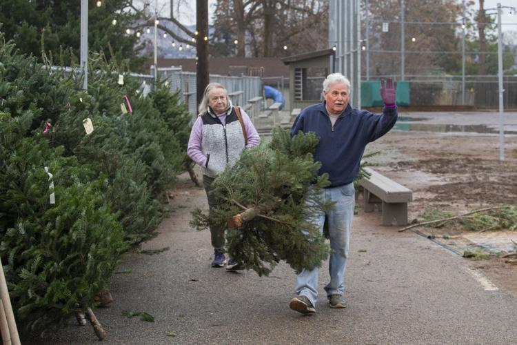 PHOTO GALLERY: Exchange Club Christmas trees | News | wenatcheeworld.com