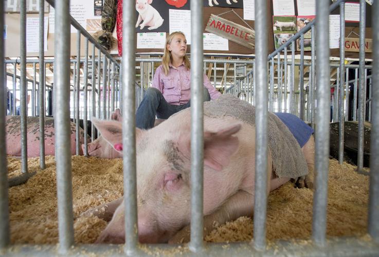 Let the judging begin | Local News | wenatcheeworld.com