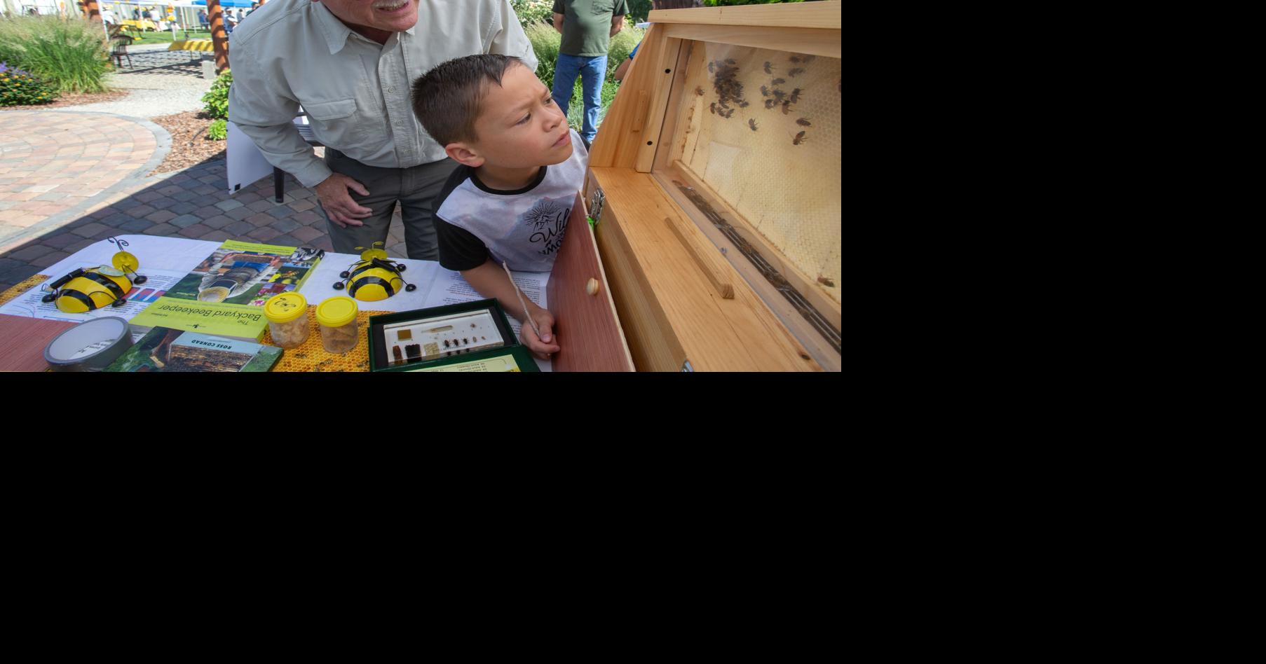 Summer is buzzin' | News | wenatcheeworld.com