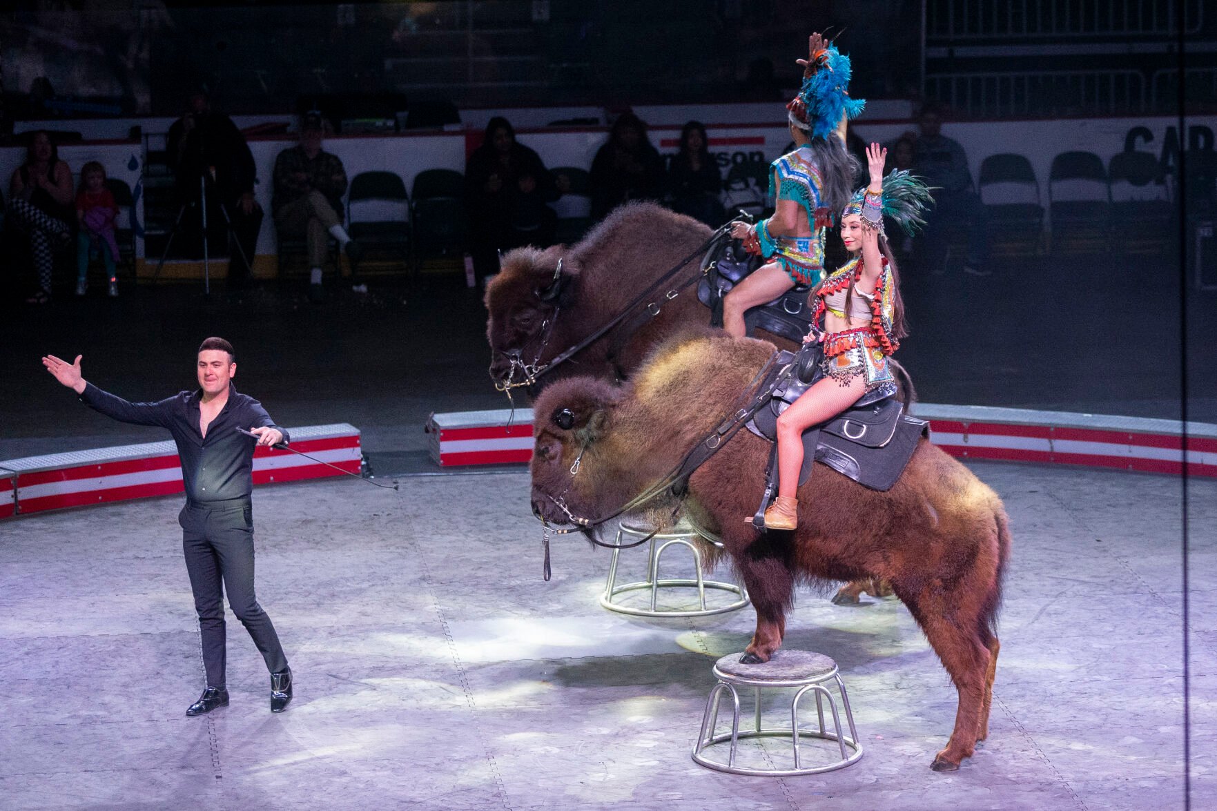 Greater Wenatchee Regional Events Center PFD board keeps animals in ...