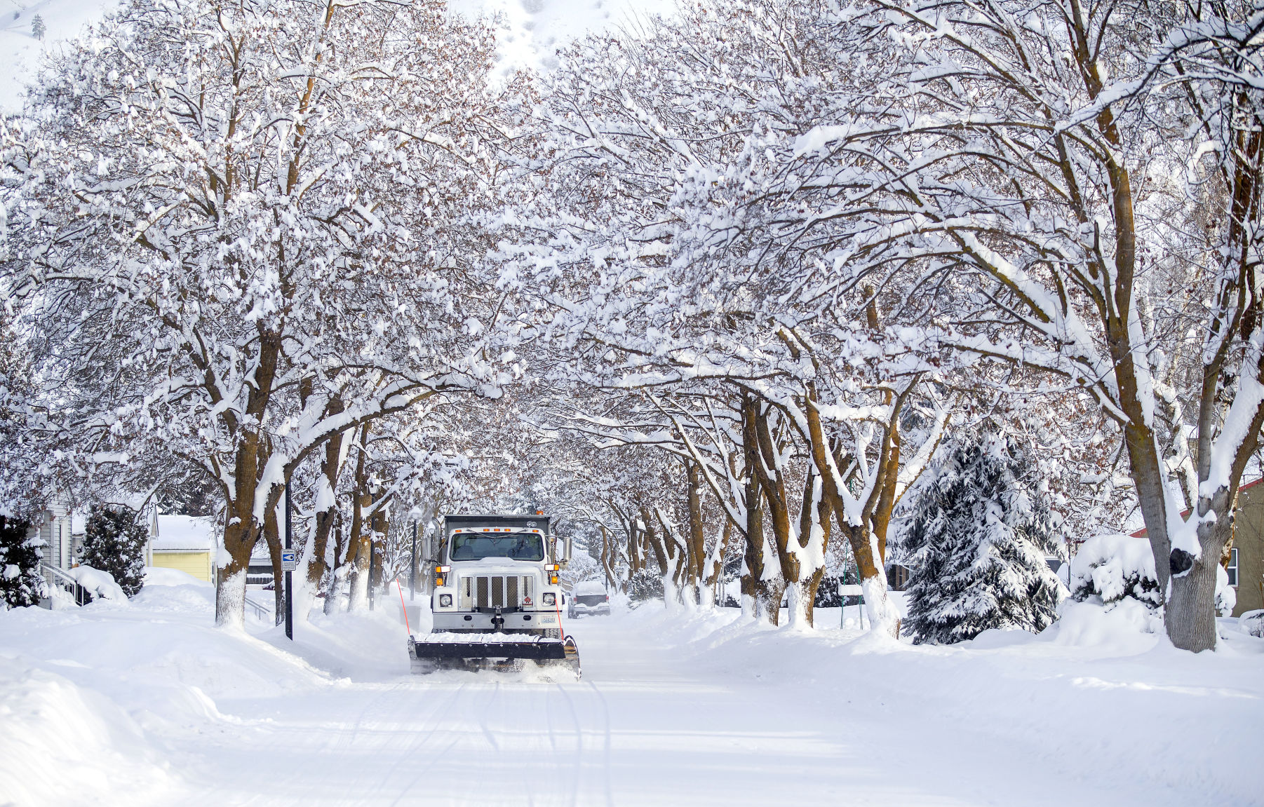 NCW lowlands to see first freeze, possible snow; winter storm expected ...