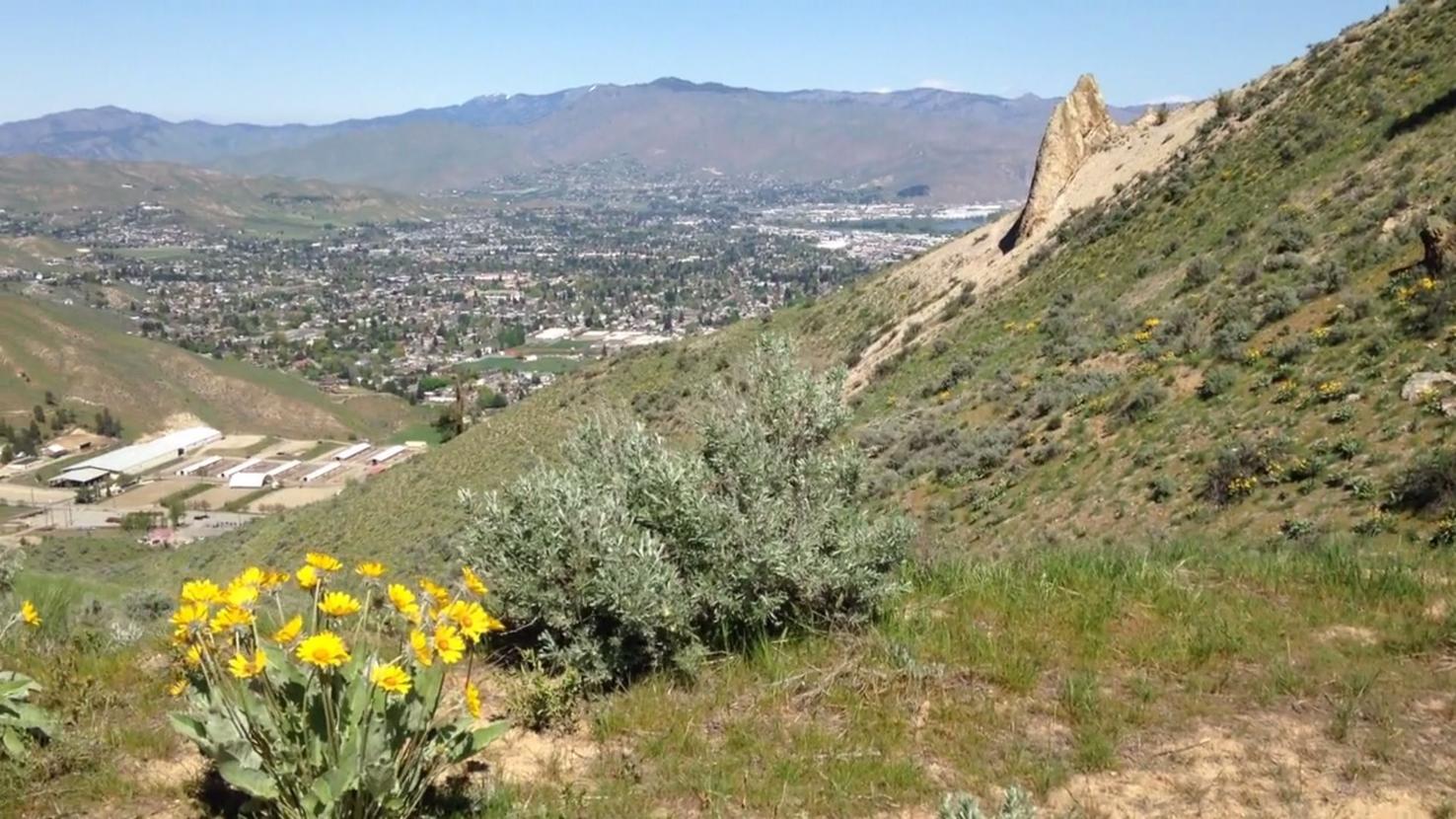 Everybody Out | Dry Gulch Preserve | Local News | wenatcheeworld.com
