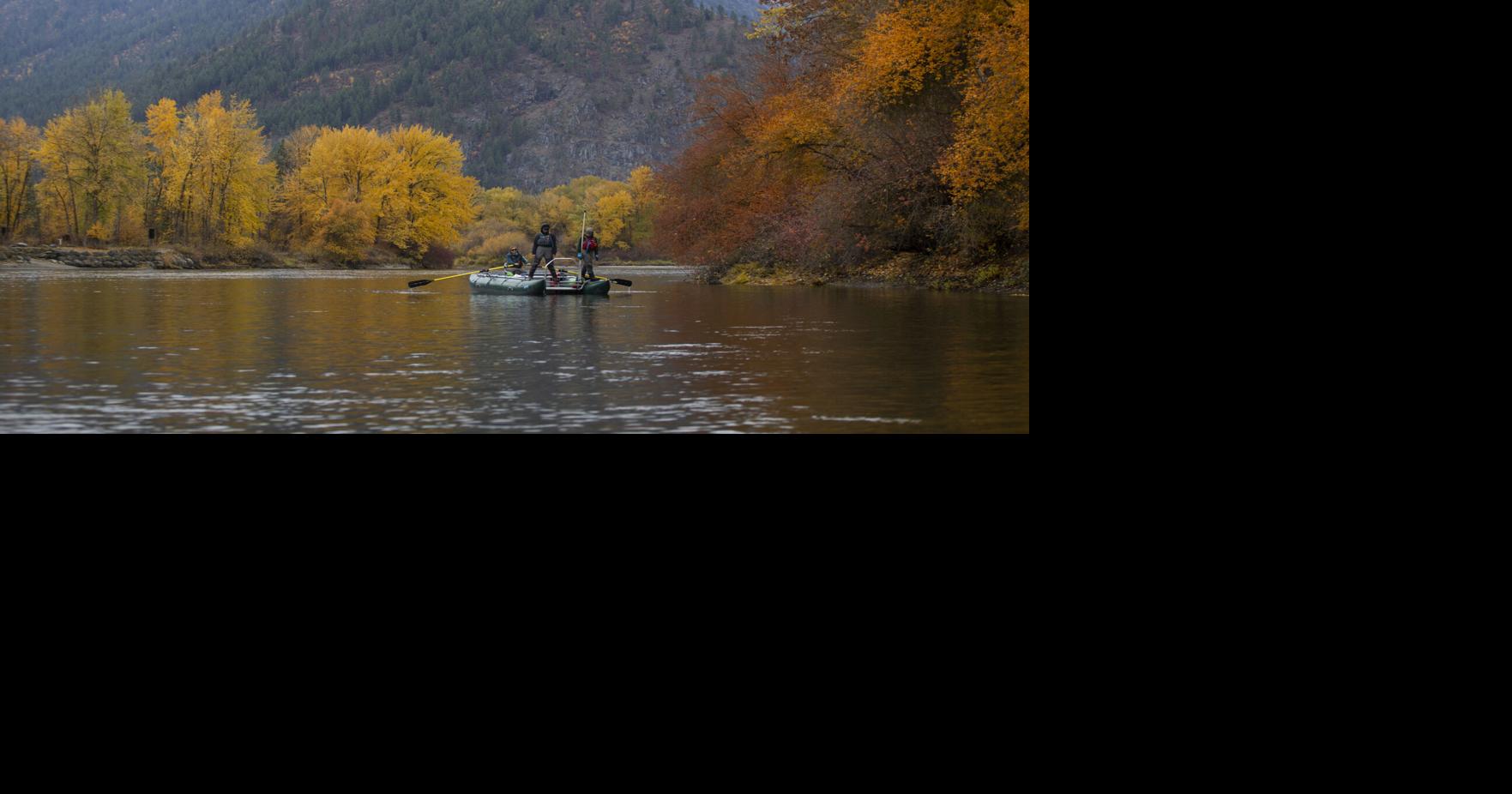 Chelan County PUD Fish & Wildlife to count salmon, trout redds next ...