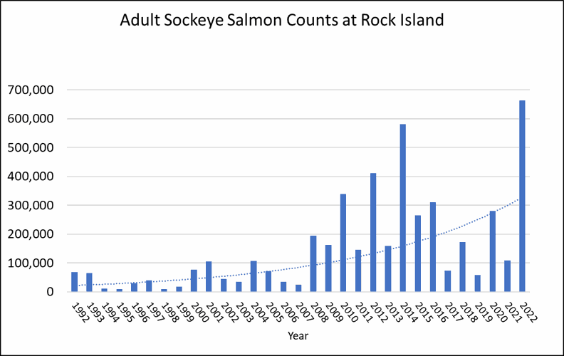Sockeye returns near Wenatchee shatter 30-year records | News ...