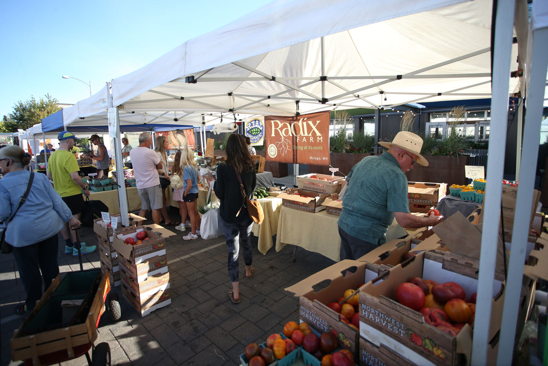 PHOTO GALLERY: Wenatchee Valley Farmers Market | | wenatcheeworld.com