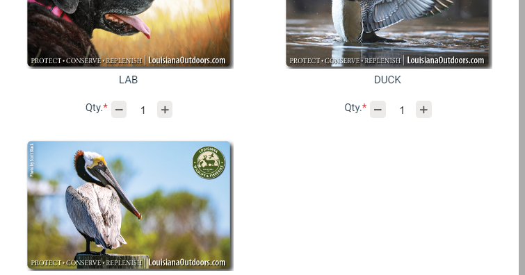 LDWF Now Offering Durable License Cards Online | News ...