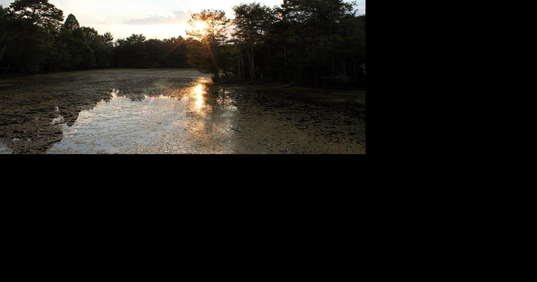 Slideshow: Bundick Lake | Features | westcentralsbest.com