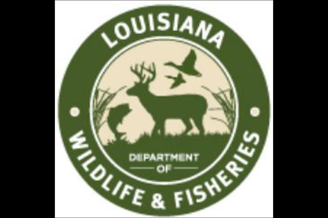 LDWF to Hold Commercial Fishing License Sales at Select Offices in December | News ...