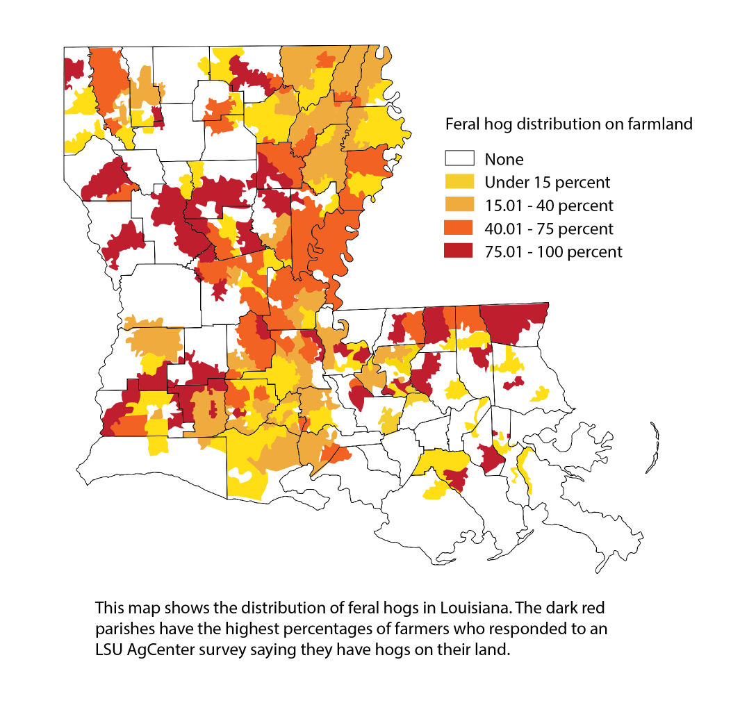 Feral Hogs In Oklahoma Map - Map