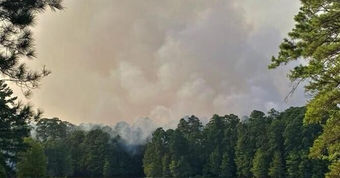 Update on Sabine National Forest Fire | News | westcentralsbest.com