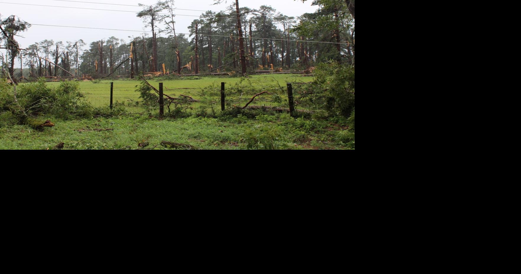 Tornado Touches Down In Jasper News