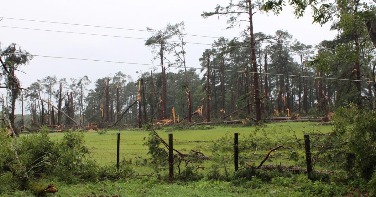 Tornado Touches Down In Jasper News