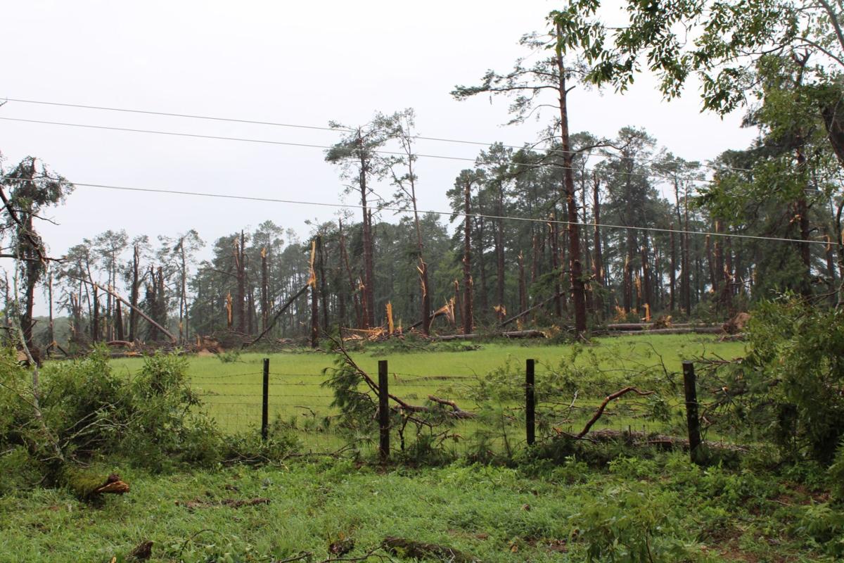 Tornado Touches Down In Jasper News