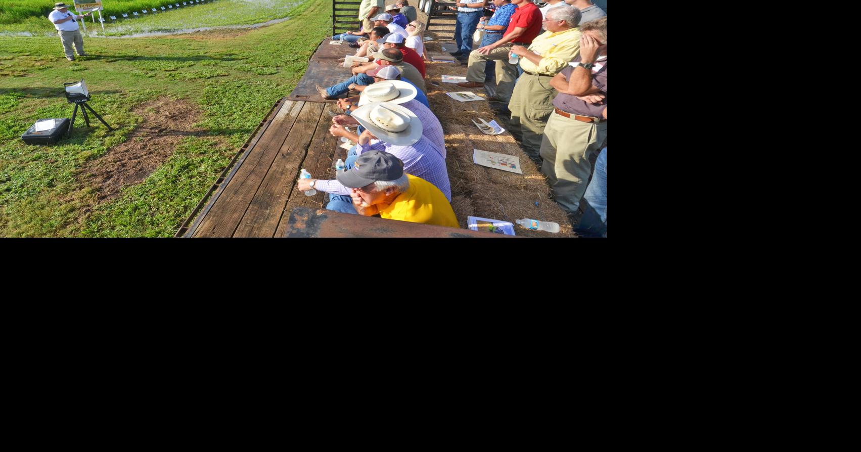 LSU AgCenter: Master Farmer classes begin June 28 | | westcentralsbest.com