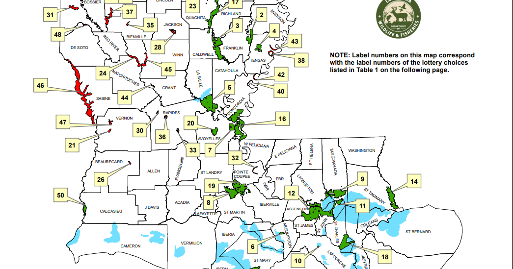 LDWF Accepting Alligator Lottery Applications Through June 30, 2022 ...