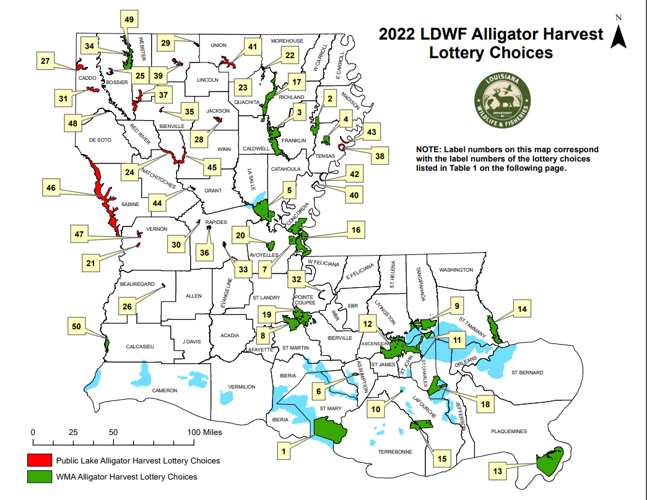 LDWF Accepting Alligator Lottery Applications Through June 30, 2022 ...