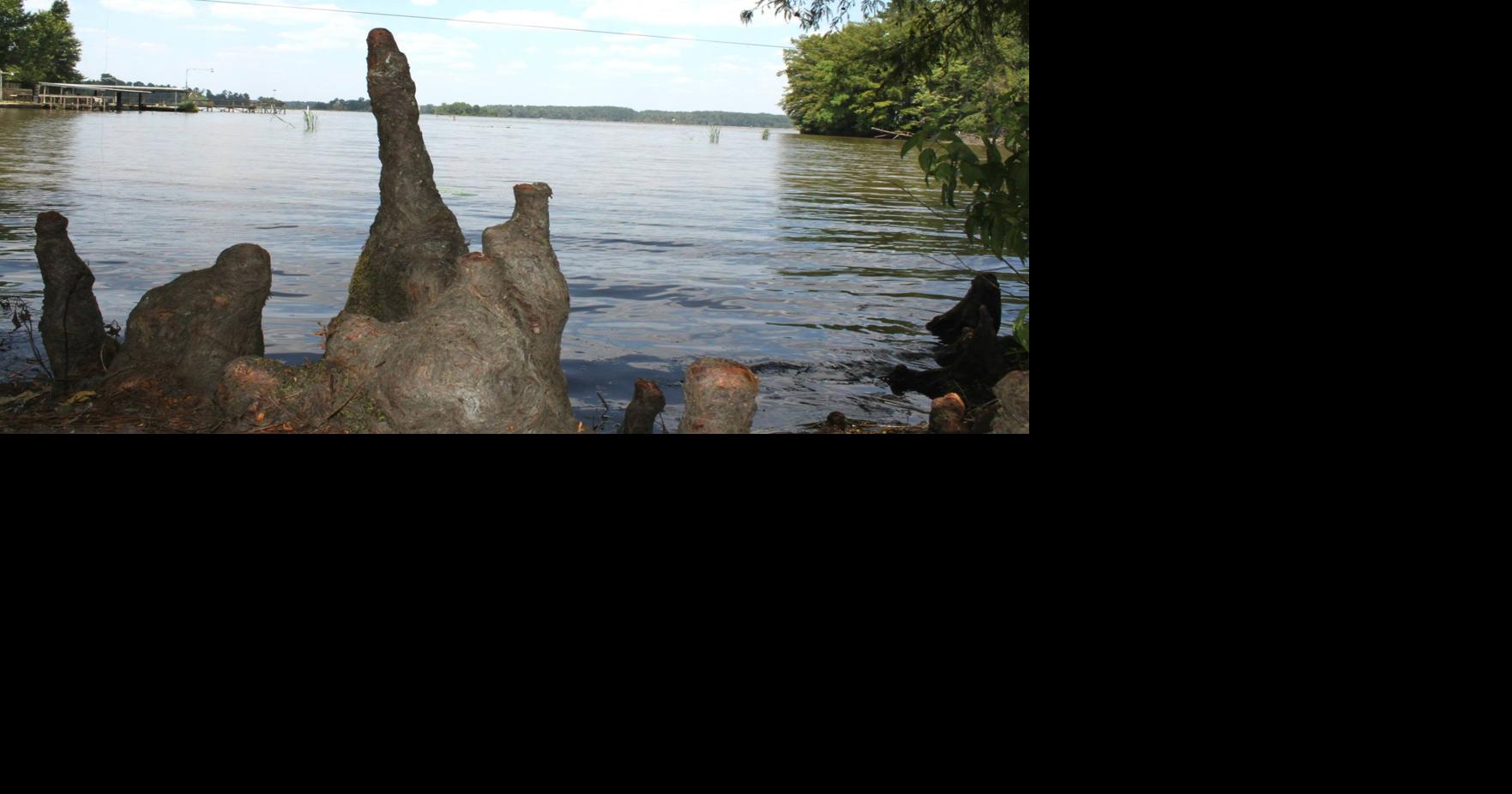 Bundick Lake Drawdown Began Today | News | westcentralsbest.com
