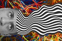 Science behind: Brain rot | Culture | westerngazette.ca