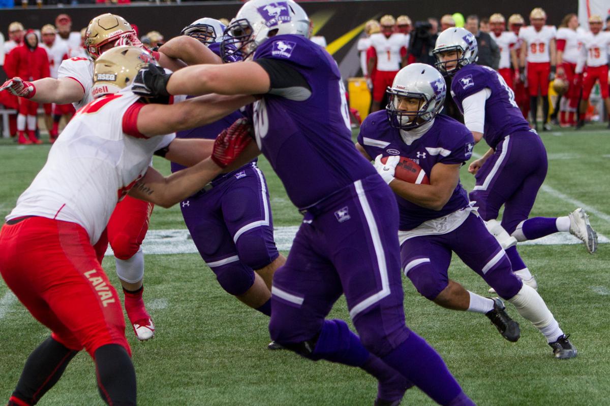 Mustangs' Vanier Cup triumph a win for the ages | Sports ...