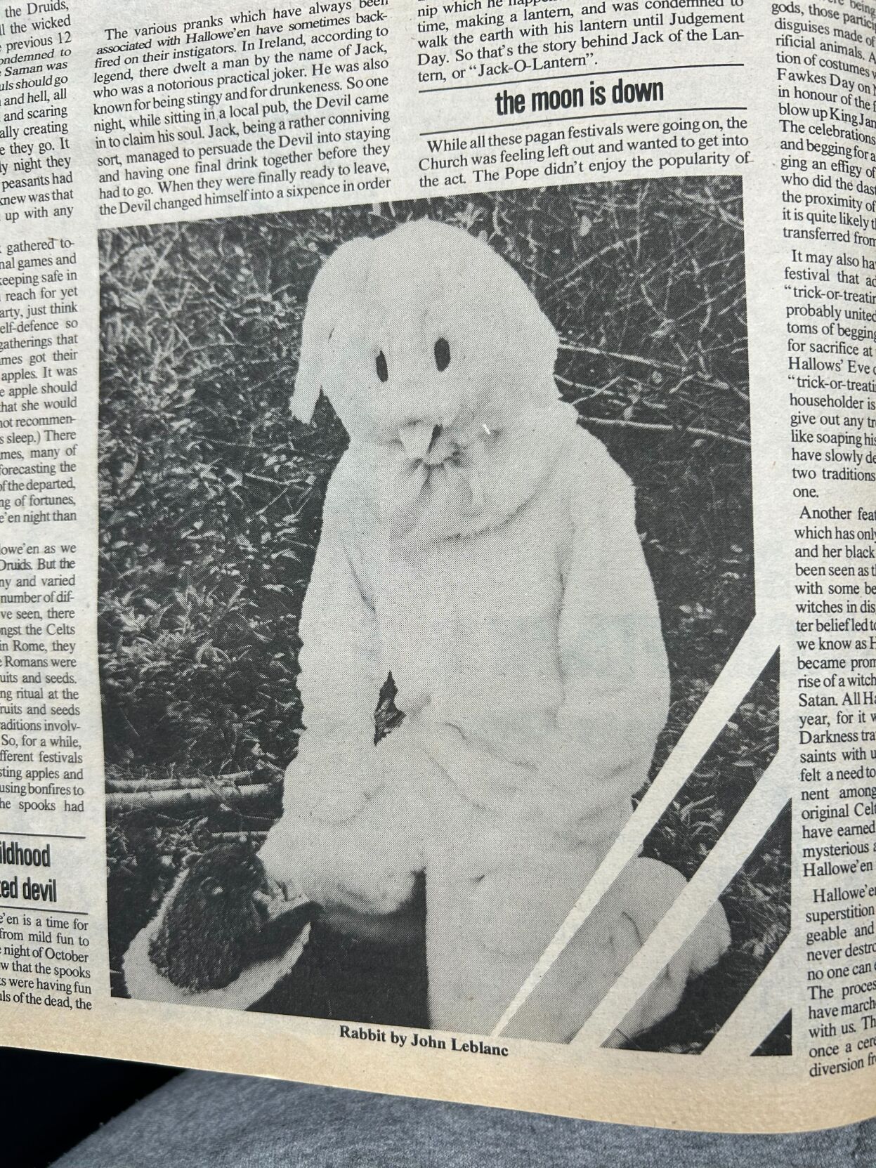 Let’s do the time warp again: Western’s Halloween costumes through the ...