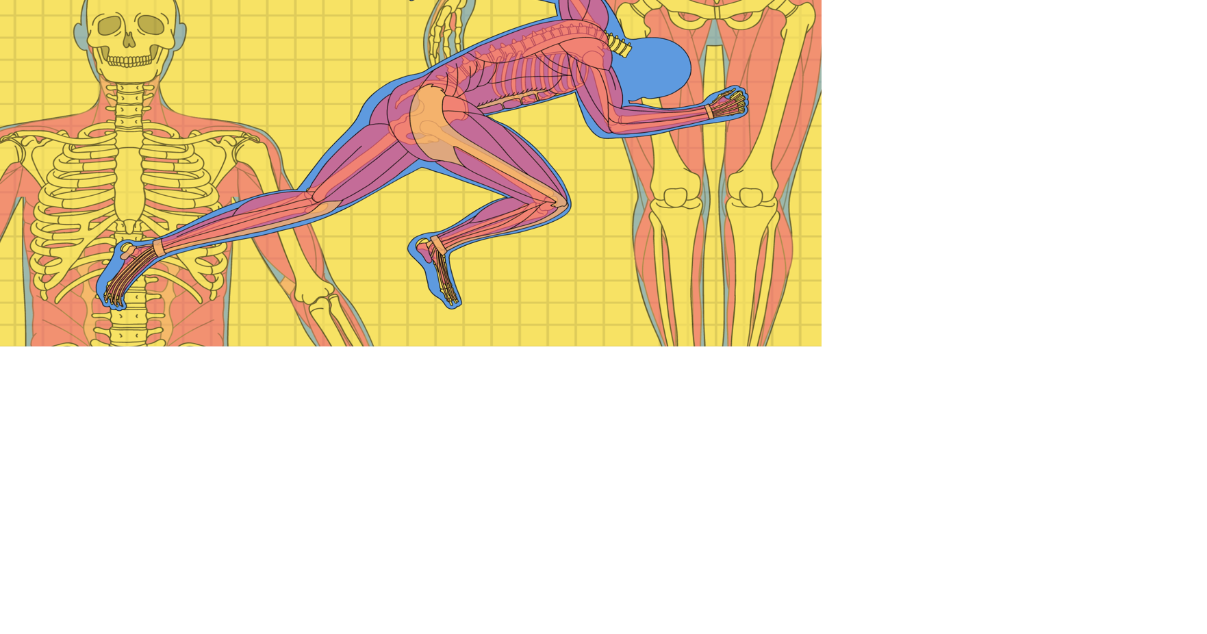 Science behind: Pulled hamstrings | Sports | westerngazette.ca