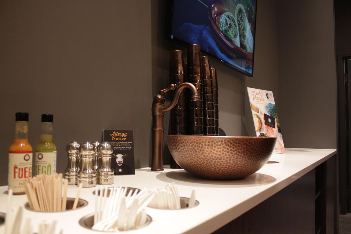 Copper Branch: Veganism supporting sustainability | Culture ...