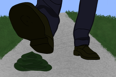 Honking nuisance: The untold tale of goose poop at Western | Student ...