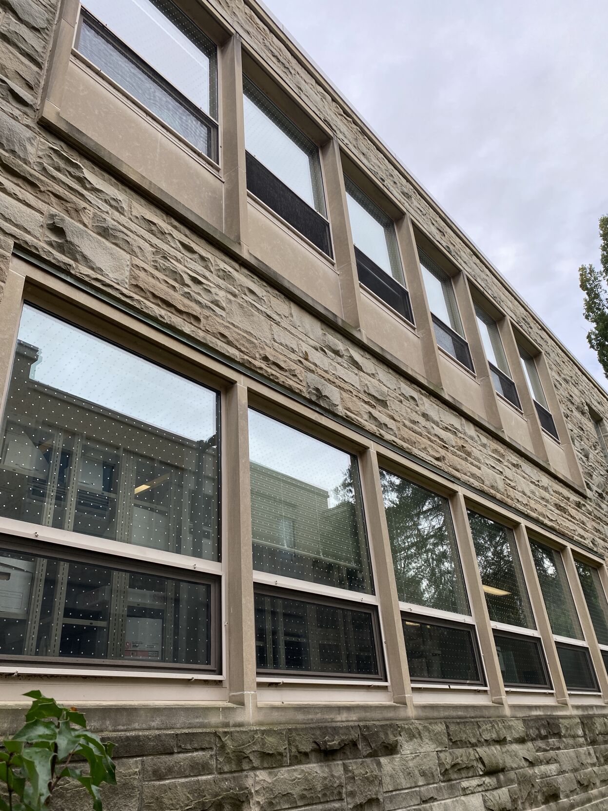 Western retrofits three more campus buildings with bird-friendly ...