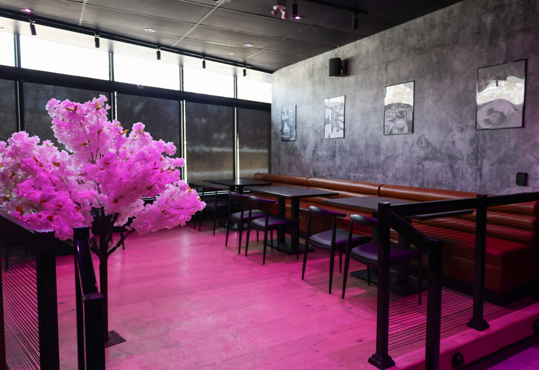 Twins is a café by day, bar by night | Culture | westerngazette.ca